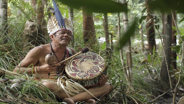 The Traditional Brazilian Family - Présence Autochtone